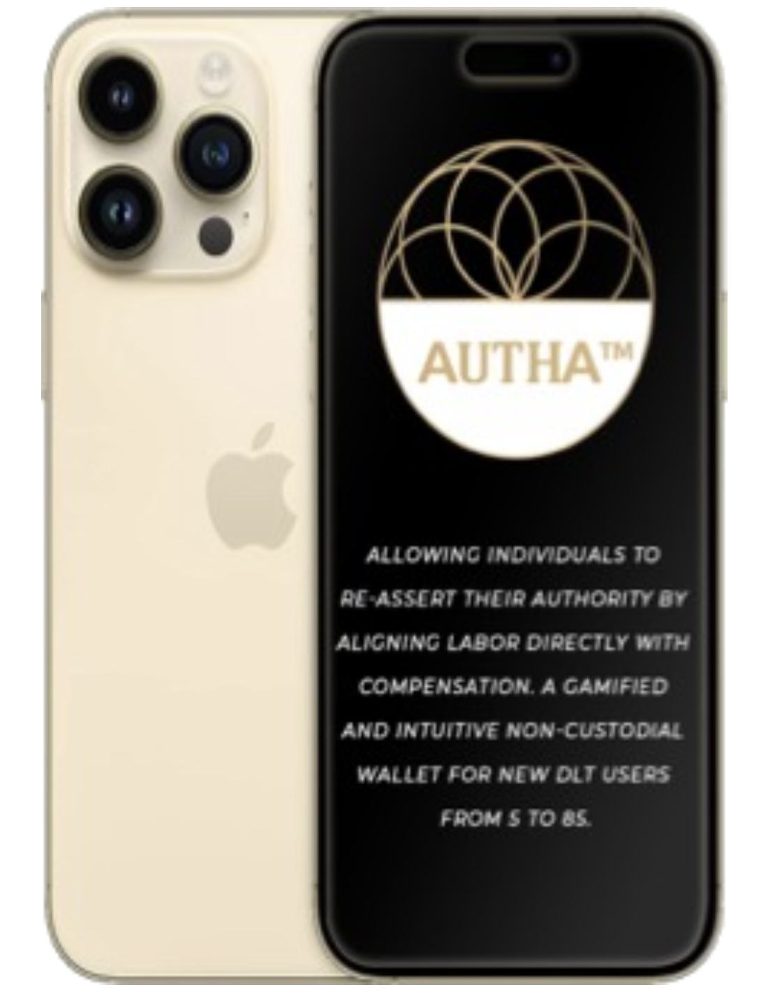 ICON Capital Reserve | SECURITY, DISCRETION, TRUST